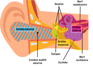 Troubles de l'audition - CPR